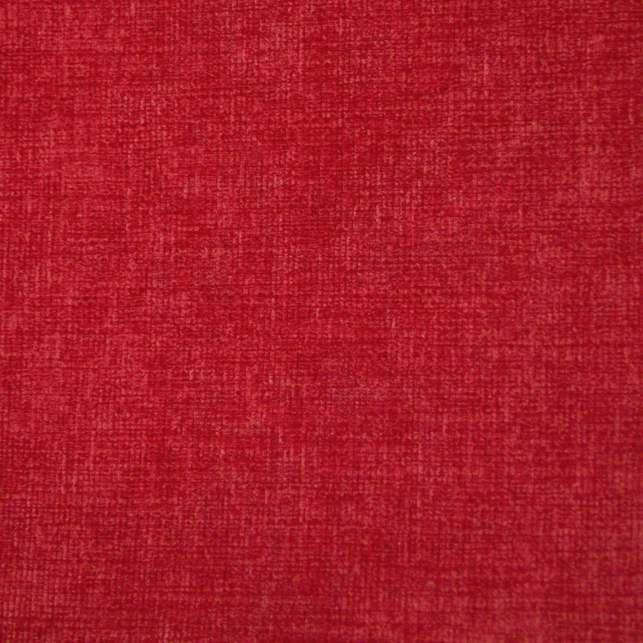 Pace Fuschia